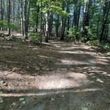 Provin Park Trail, Michigan - 810 Reviews, Map | AllTrails