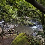 Judd Trail, Oahu, Hawaii - 2,959 Reviews, Map | AllTrails