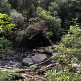 Judd Trail, Oahu, Hawaii - 2,959 Reviews, Map | AllTrails