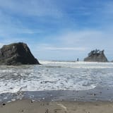 Second Beach, Washington - 2,138 Reviews, Map | AllTrails