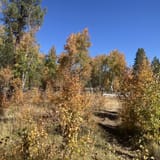 Sagehen Creek Loop, California - 1,097 Reviews, Map | AllTrails