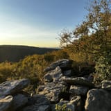 Wolf Rocks Trail, Pennsylvania - 1,569 Reviews, Map | AllTrails