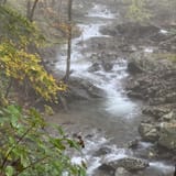 Rose River Falls, Virginia - 1,099 Reviews, Map | AllTrails