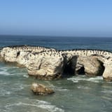 Point Buchon Trail, California - 603 Reviews, Map | AllTrails