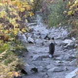 Jenny Lake Trail, Wyoming - 5,758 Reviews, Map | AllTrails