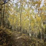 Hope Pass via Willis Gulch Trail, Colorado - 462 Reviews, Map | AllTrails