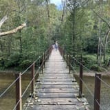 Cascade Falls Loop Trail, Maryland - 3,039 Reviews, Map | AllTrails