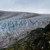 Harding Icefield Trail, Alaska - 4,320 Reviews, Map | AllTrails