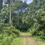 Cross Island Track and The Needle, Rarotonga, Cook Islands - 222 ...