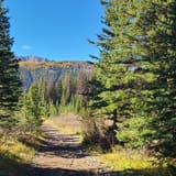 Edworthy Falls via Elbow Lake Trail, Alberta, Canada - 2,325 Reviews ...