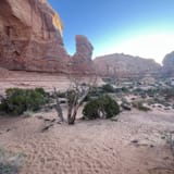 Double Arch Trail, Utah - 5,340 Reviews, Map | AllTrails