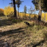 Kelly Canyon Trail, Idaho - 367 Reviews, Map | AllTrails