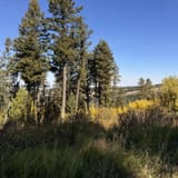 Kelly Canyon Trail, Idaho - 367 Reviews, Map | AllTrails