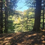 Sprague Brook Park Trail, New York - 1,461 Reviews, Map | AllTrails