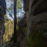 Natural Bridge and Laurel Ridge Trail Loop, Kentucky - 2,208 Reviews ...