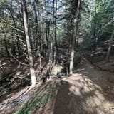 Catamount Hill Trail and One Mile Trail Loop, New Hampshire - 643 ...