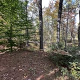 Catamount Hill Trail and One Mile Trail Loop, New Hampshire - 643 ...