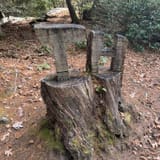 Capen Hill Nature Sanctuary, Massachusetts - 234 Reviews, Map | AllTrails