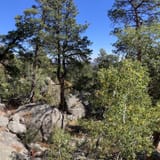 Mount Rushmore and Presidential Trail Loop, South Dakota - 2,480 ...