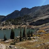 Cecret Lake Trail, Utah - 4,266 Reviews, Map | AllTrails