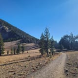 Mount Scott Trail, Oregon - 1,351 Reviews, Map | AllTrails