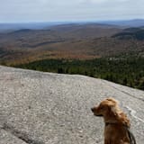 Mount Cardigan Loop Trail, New Hampshire - 2,563 Reviews, Map | AllTrails