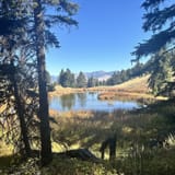 Beaver Ponds Loop Trail, Montana - 1,572 Reviews, Map | AllTrails