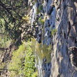 McCloud Waterfalls Trail, California - 3,105 Reviews, Map | AllTrails