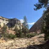 Checkerboard Mesa Canyon Trail, Utah - 197 Reviews, Map | AllTrails