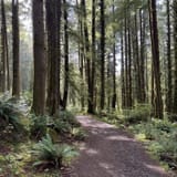 The Knoll Loop, Oregon - 3,714 Reviews, Map | AllTrails