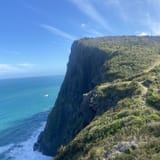 Mercer Bay Loop Track, Auckland, New Zealand - 796 Reviews, Map | AllTrails