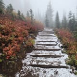 Naches Peak Loop Trail, Washington - 5,966 Reviews, Map | AllTrails
