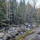 Mount Washington and Monroe via Ammonoosuc Ravine Trail, New Hampshire ...
