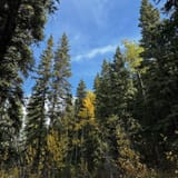 Mount Lorette Pond Trail, Alberta, Canada - 238 Reviews, Map | AllTrails