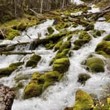 Karst Spring Trail, Alberta, Canada - 1,021 Reviews, Map | AllTrails