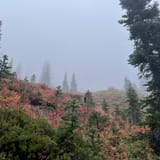 Naches Peak Loop Trail, Washington - 5,966 Reviews, Map | AllTrails