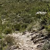 Slaughter Canyon Cave Trail, New Mexico - 75 Reviews, Map | AllTrails