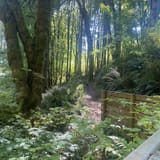 Mima Falls Loop, Washington - 1,766 Reviews, Map | AllTrails