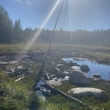 Angleworm Lake Trail, Minnesota - 108 Reviews, Map | AllTrails