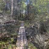 Angleworm Lake Trail, Minnesota - 108 Reviews, Map | AllTrails