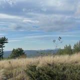 Blue Job Mountain Loop, New Hampshire - 2,393 Reviews, Map | AllTrails