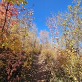 Armstrong Trail to Dawns Trail Loop, Utah - 3,304 Reviews, Map | AllTrails