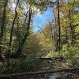 Shaker Mountain Loop via Shaker Trail, Massachusetts - 489 Reviews, Map ...