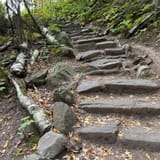 Congdon Park, Minnesota - 522 Reviews, Map | AllTrails