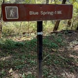 Blue Spring Trail, Missouri - 194 Reviews, Map | AllTrails