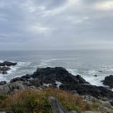 Marginal Way, Maine - 1,832 Reviews, Map | AllTrails