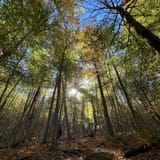 Mount Arab Trail, New York - 2,601 Reviews, Map | AllTrails