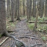 Sprague Brook Park Trail, New York - 1,461 Reviews, Map | AllTrails