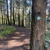 Sprague Brook Park Trail, New York - 1,461 Reviews, Map | AllTrails