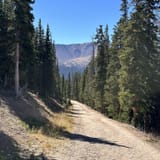 Mount Flora Trail, Colorado - 5,110 Reviews, Map | AllTrails